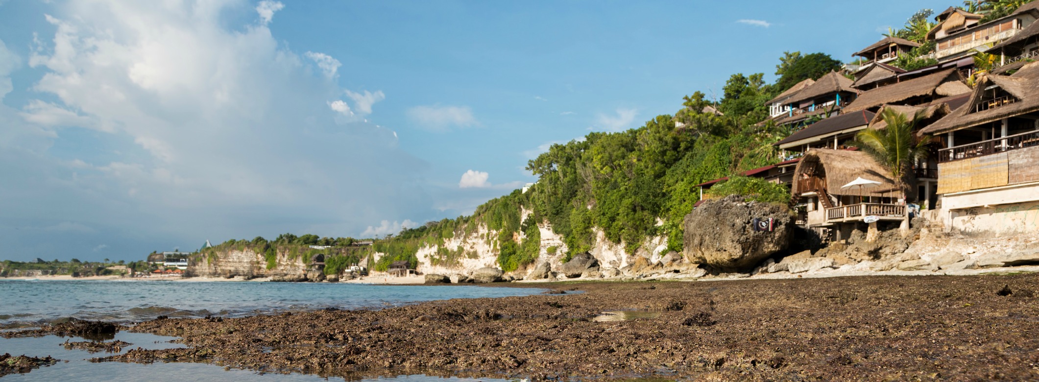 How To Treat Reef Cuts - Surf Indonesia