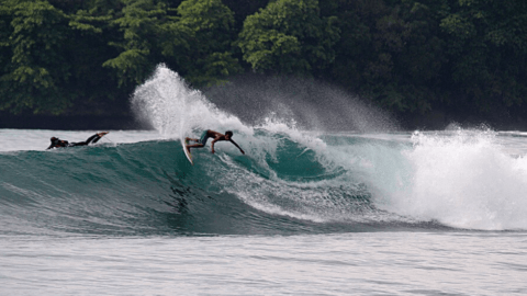 Java Surf Spots | Local Knowledge About Surfing in Java