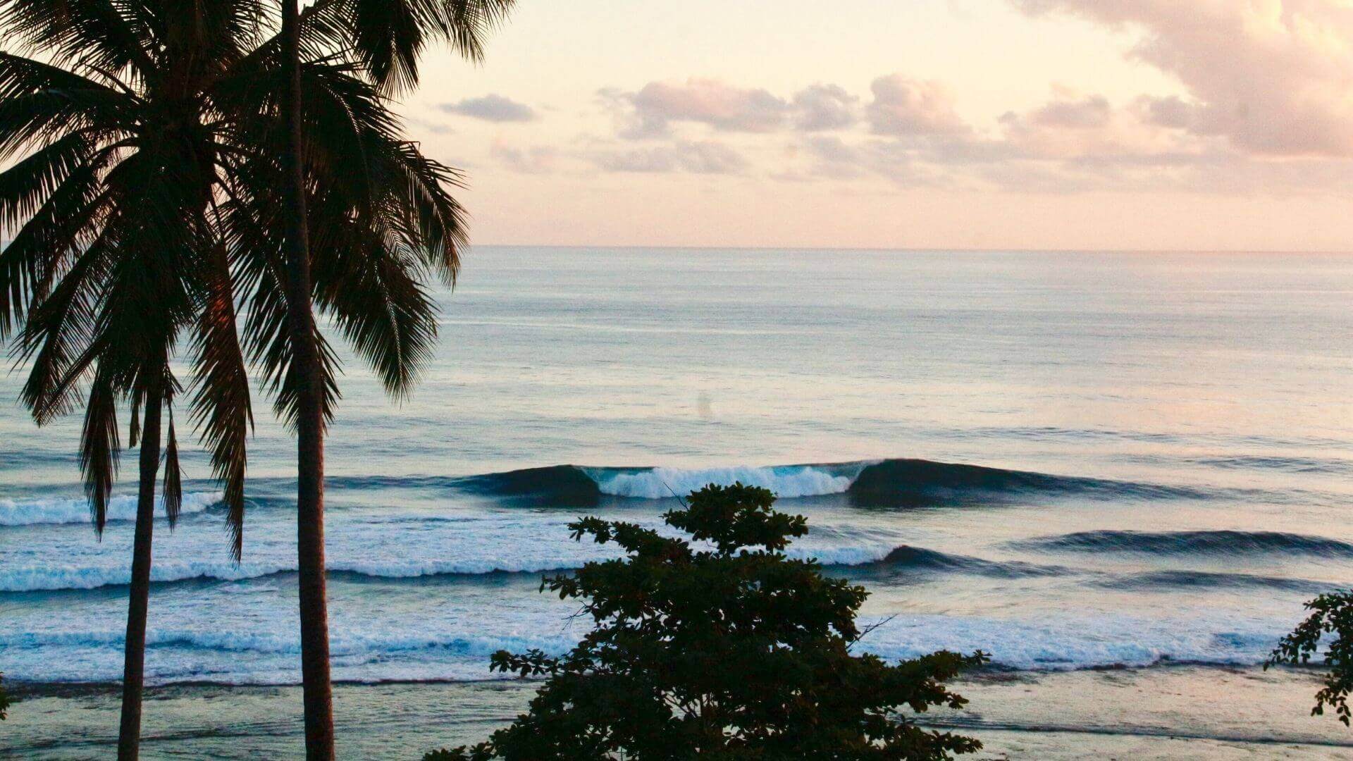Monkey Tree's Surf Spot | Simeulue - Surf Indonesia
